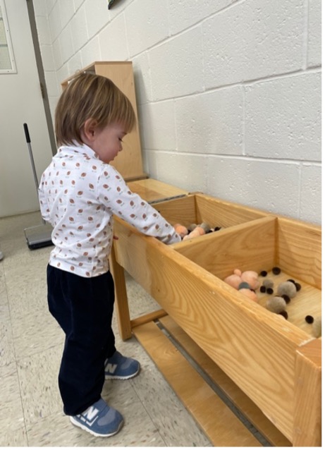 The Absorbent Mind: Supporting MCA’s Youngest Learners | Montessori Musings